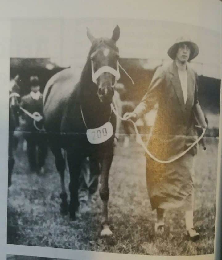 *Ferda Arabian Mare Photo Gallery | Crabbet.com
