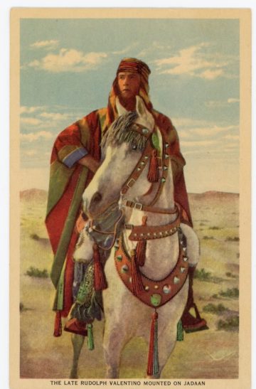 Jadaan Arabian Stallion Photo Gallery | Crabbet.com