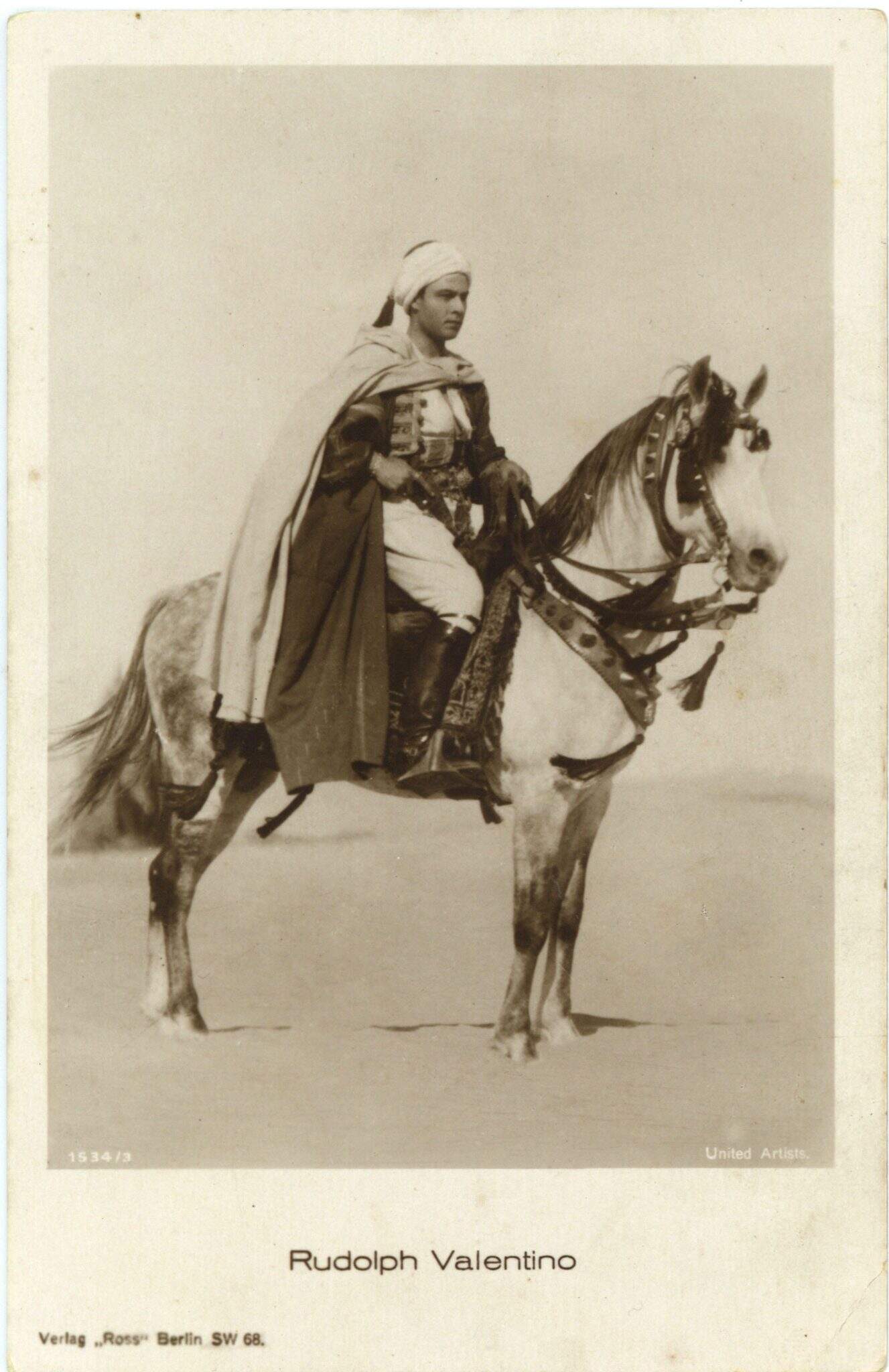 Jadaan Arabian Stallion Photo Gallery | Crabbet.com