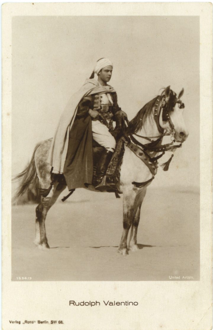 Jadaan Arabian Stallion Photo Gallery | Crabbet.com